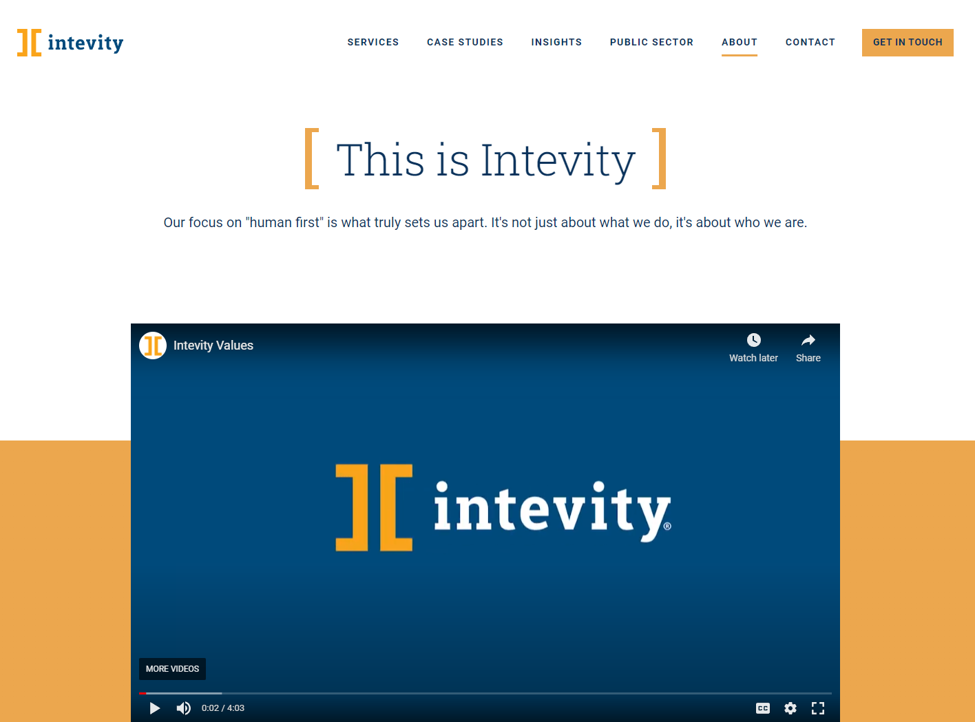 About – Intevity